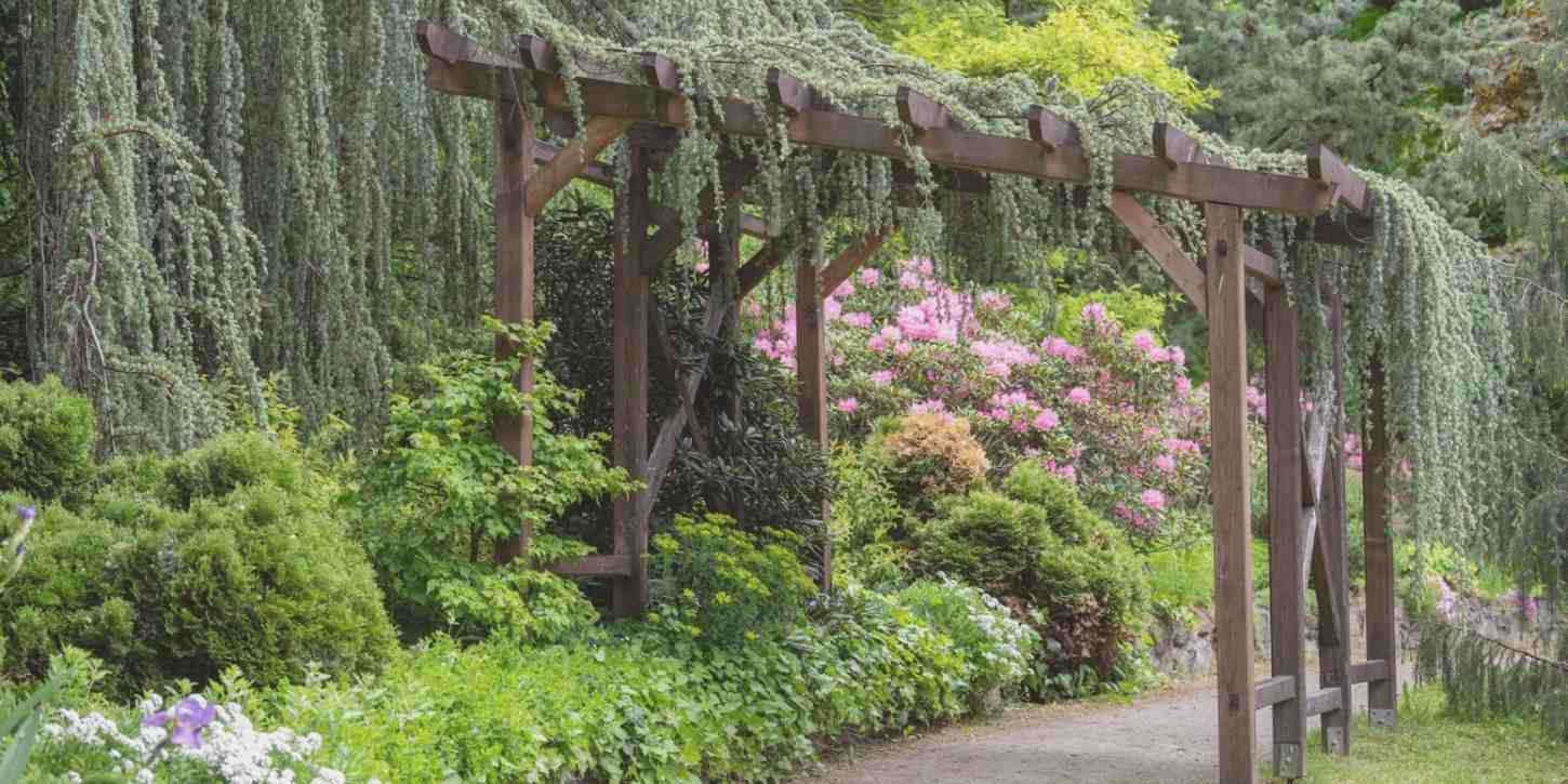 Try The Tennessee Landscaping Ideas For Dubai | AV Landscaping UAE