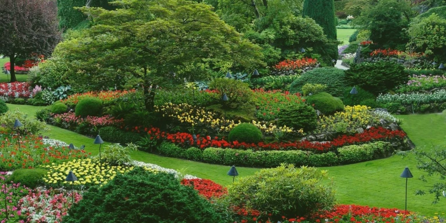 Trending Low-Budget Landscape Design Ideas | AV Landscaping UAE