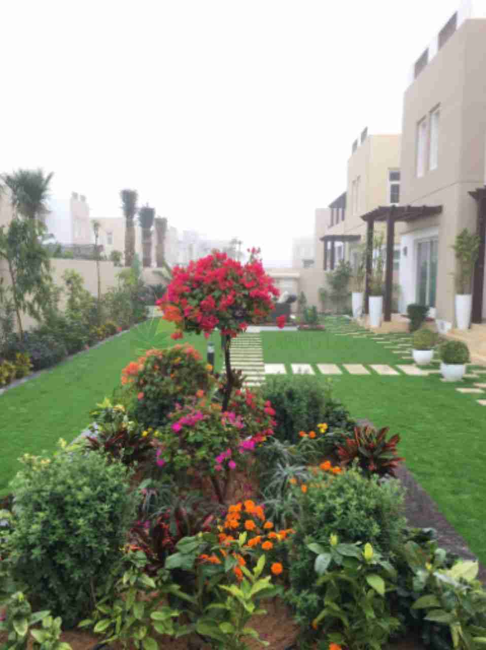 Mudon, Dubai | AV Landscaping UAE