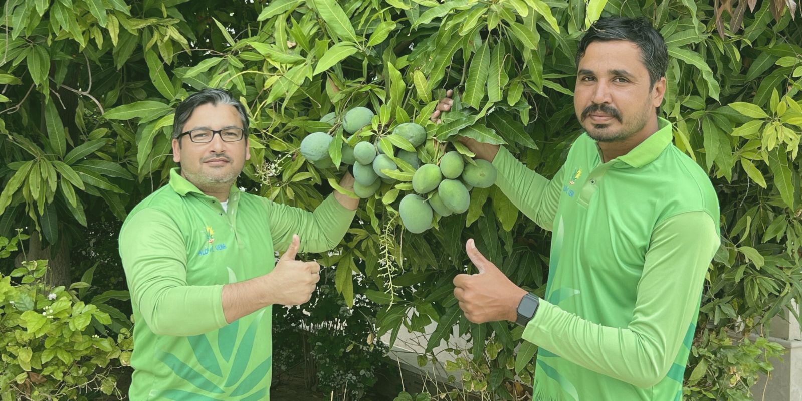 Get Landscape Maintenance Service In Dubai | AV Landscaping UAE