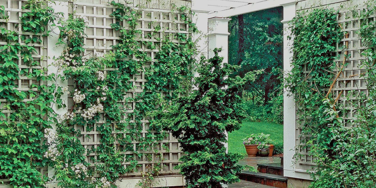 Top 6 Unique Outdoor Boundary Wall Design Ideas | AV Landscaping UAE