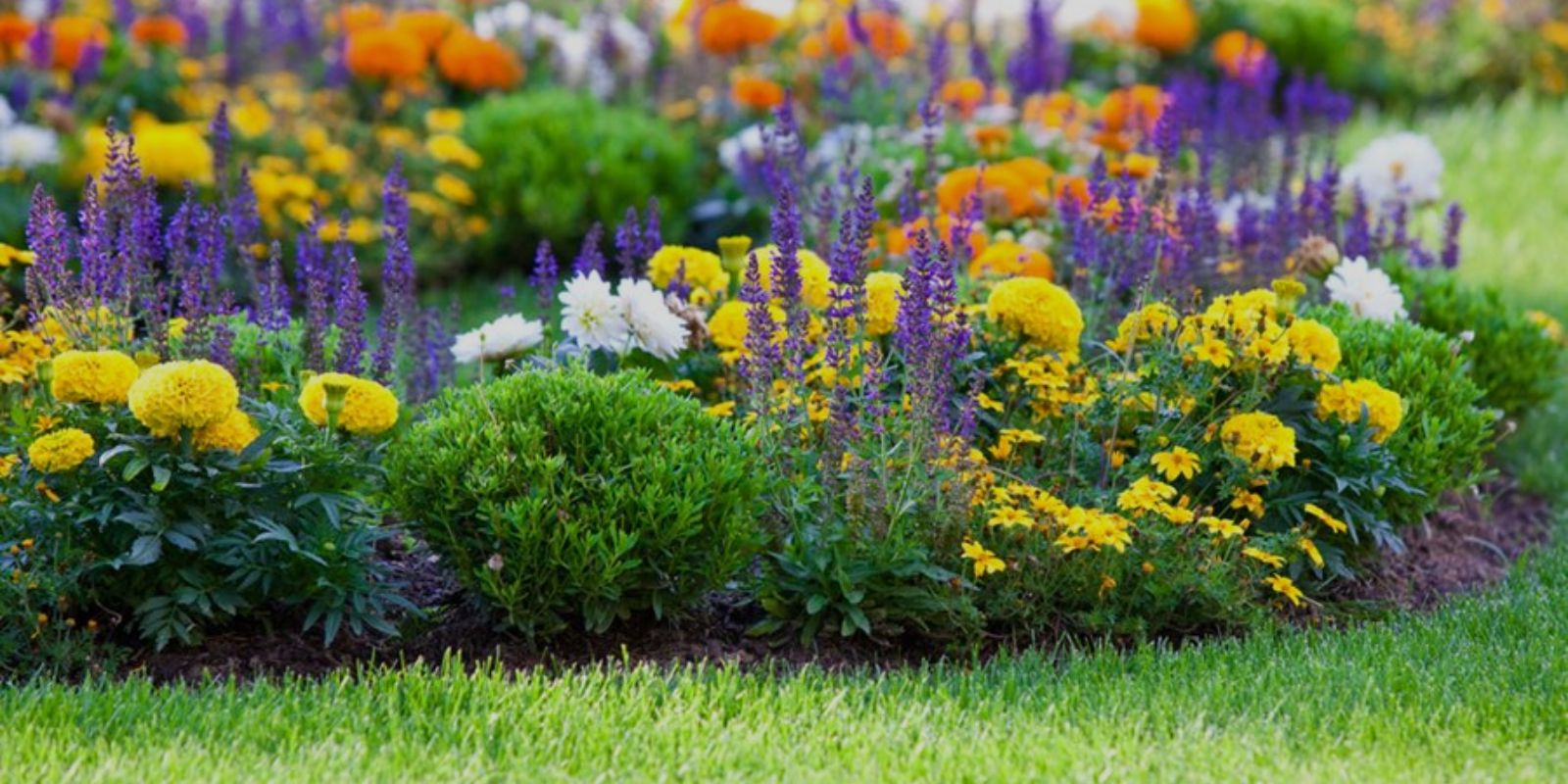 Top 3 Amazing Front Flower Bed Ideas For Garden | AV Landscaping UAE