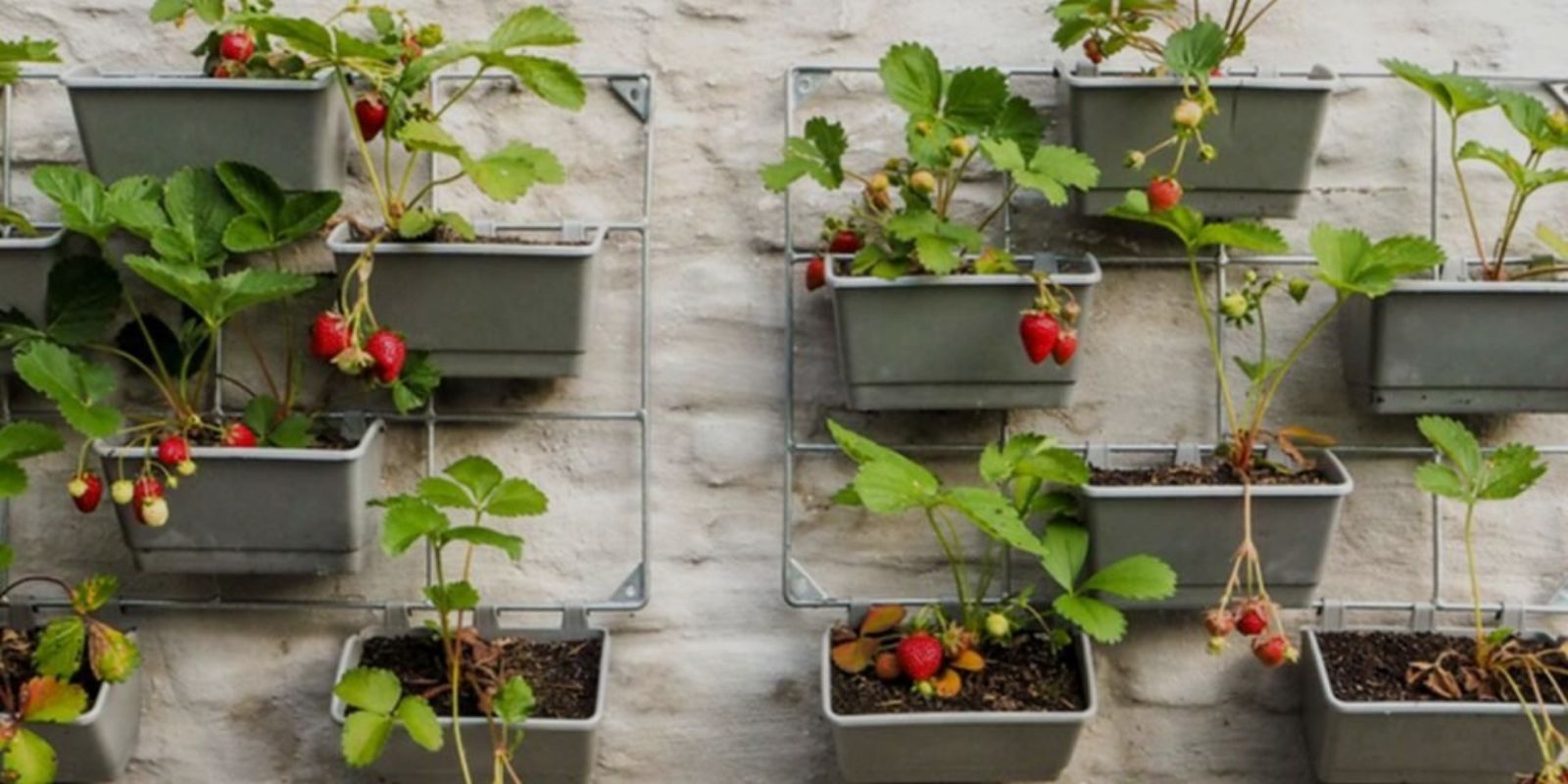 See 6 Trending Balcony Garden Ideas That’ll Inspire You | AV ...