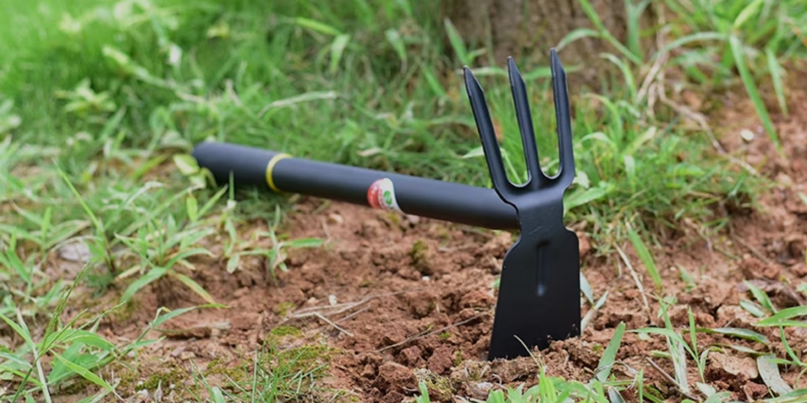 6 Essential Garden Tools For Beginners And Pros | AV Landscaping UAE