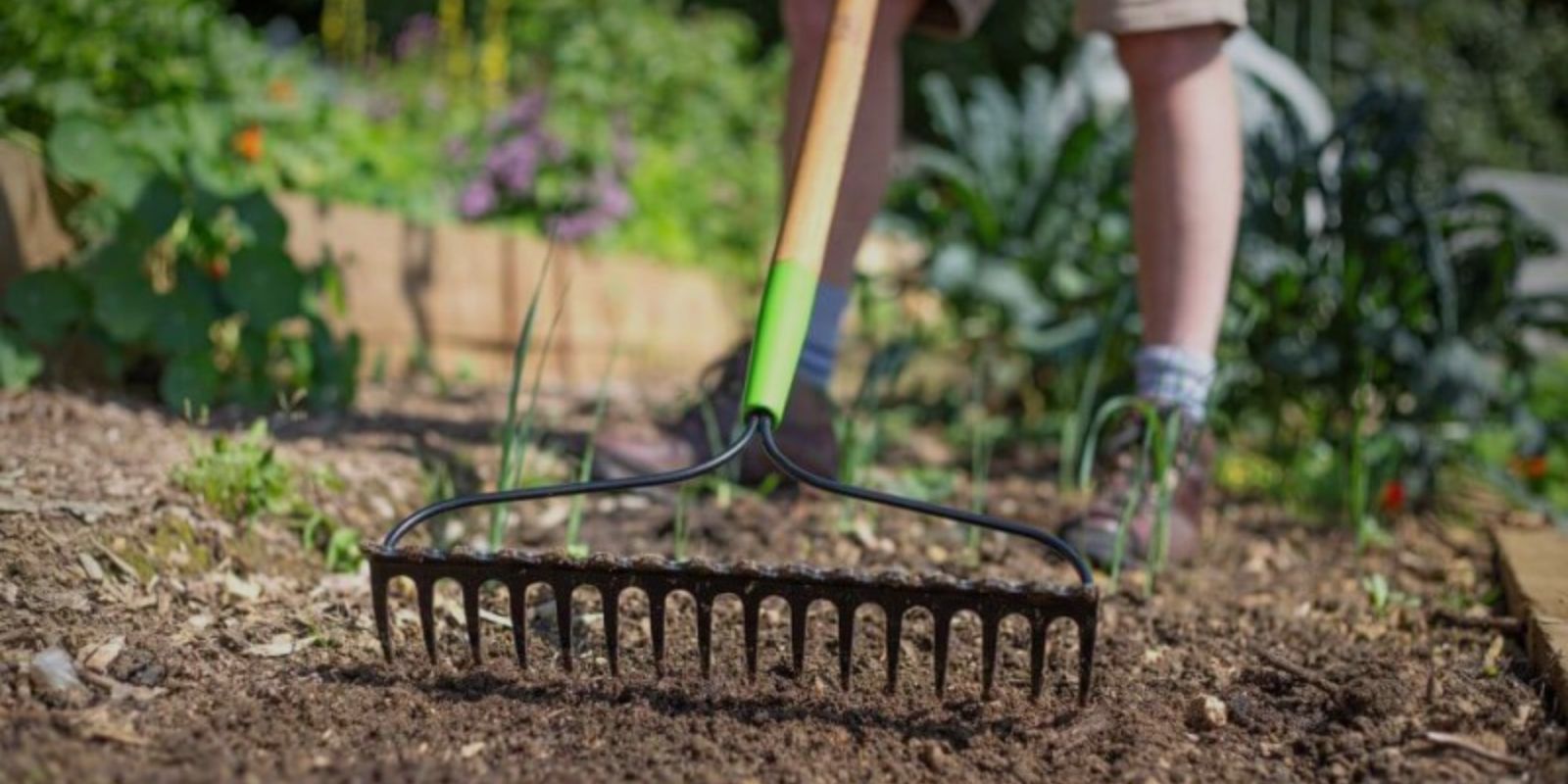 6 Best Garden Hand Tool Set | AV Landscaping UAE