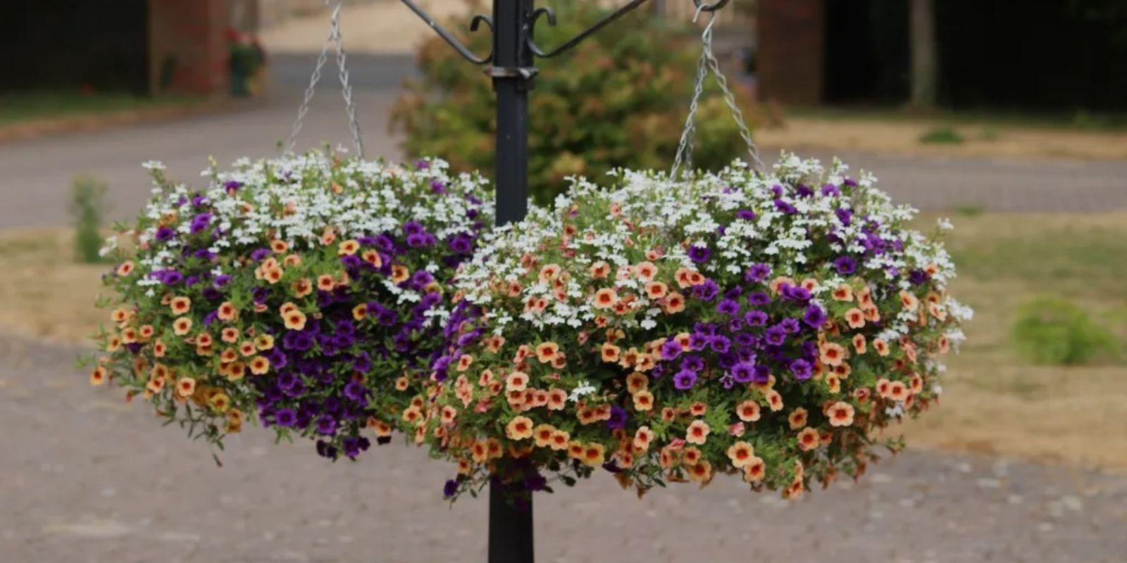 6 Best Different Types Of Flower Pots For 2025 | AV Landscaping UAE