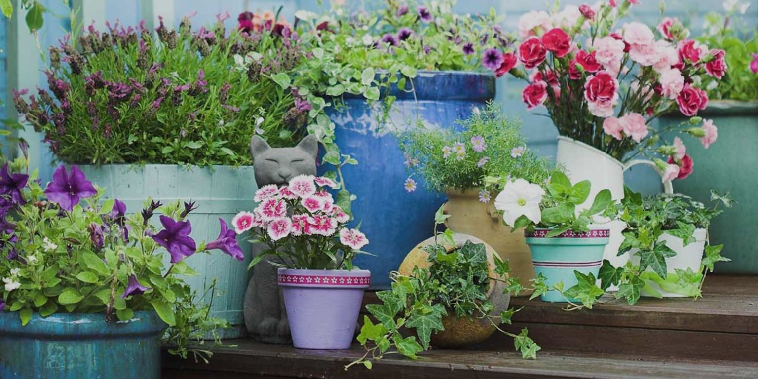 6 Best Different Types Of Flower Pots For 2025 | AV Landscaping UAE