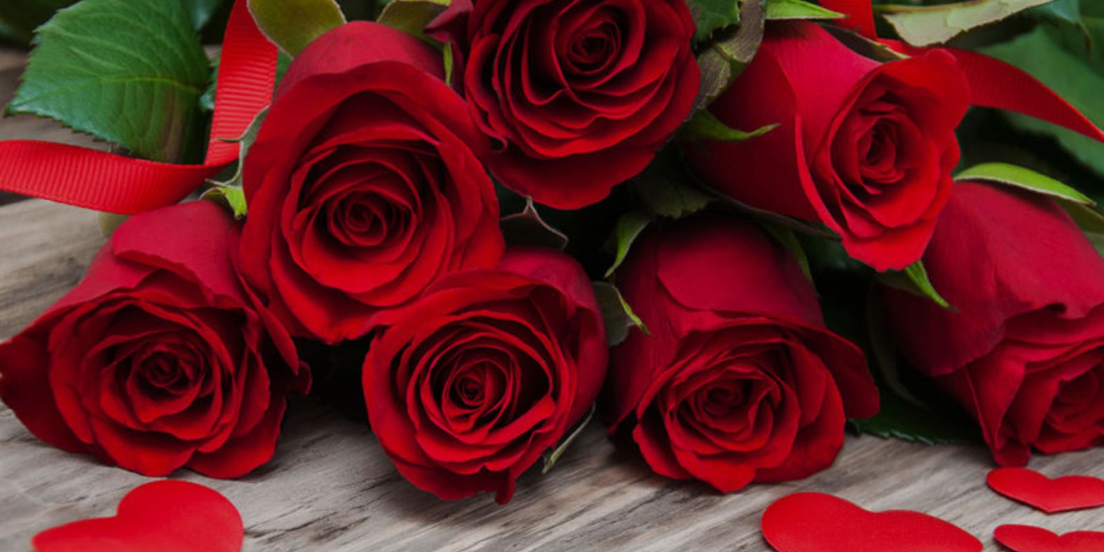 6 Types Of Romantic Flowers To Express Love | AV Landscaping UAE