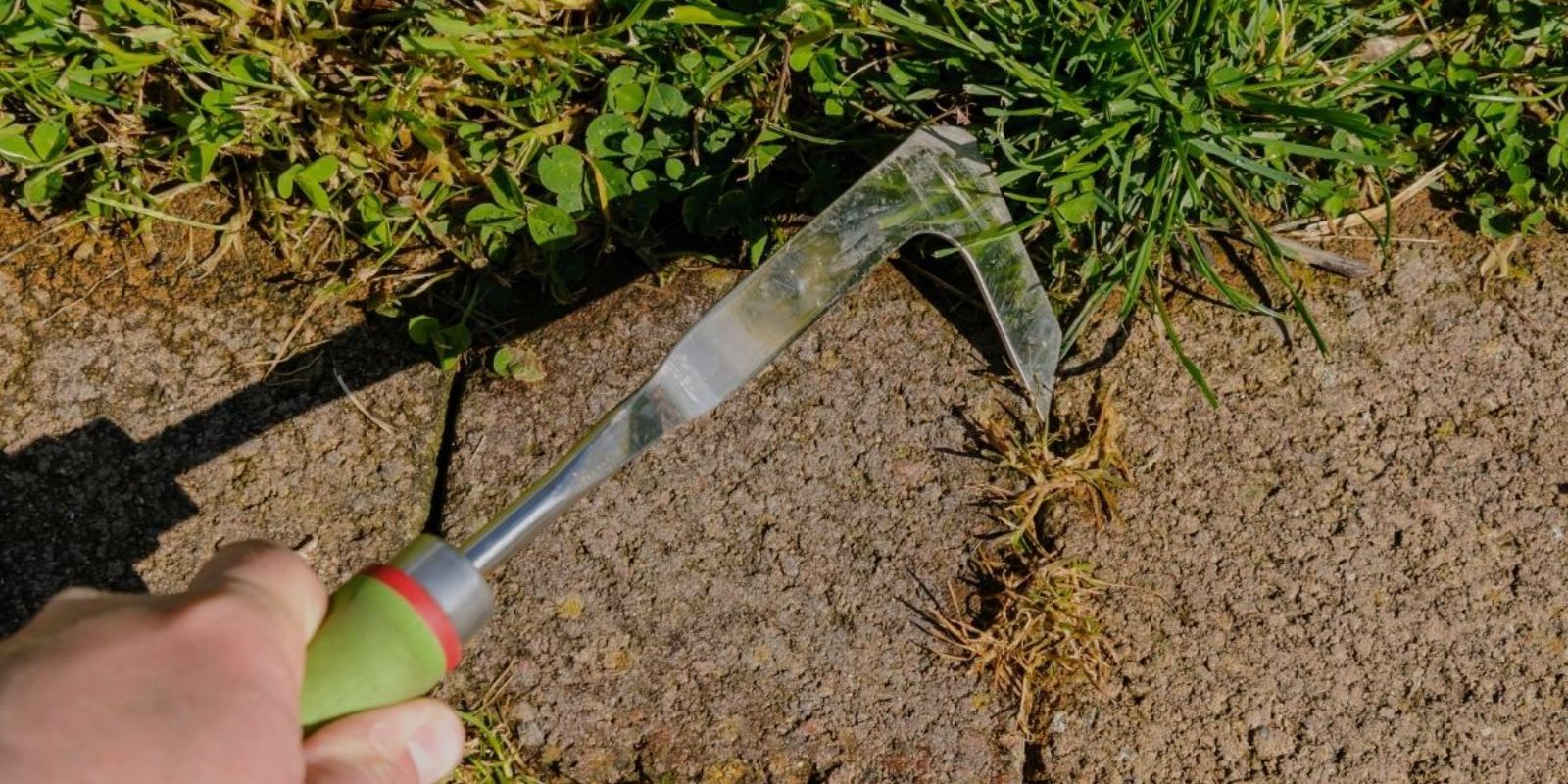 6 Best Garden Tool To Remove Weeds | AV Landscaping UAE