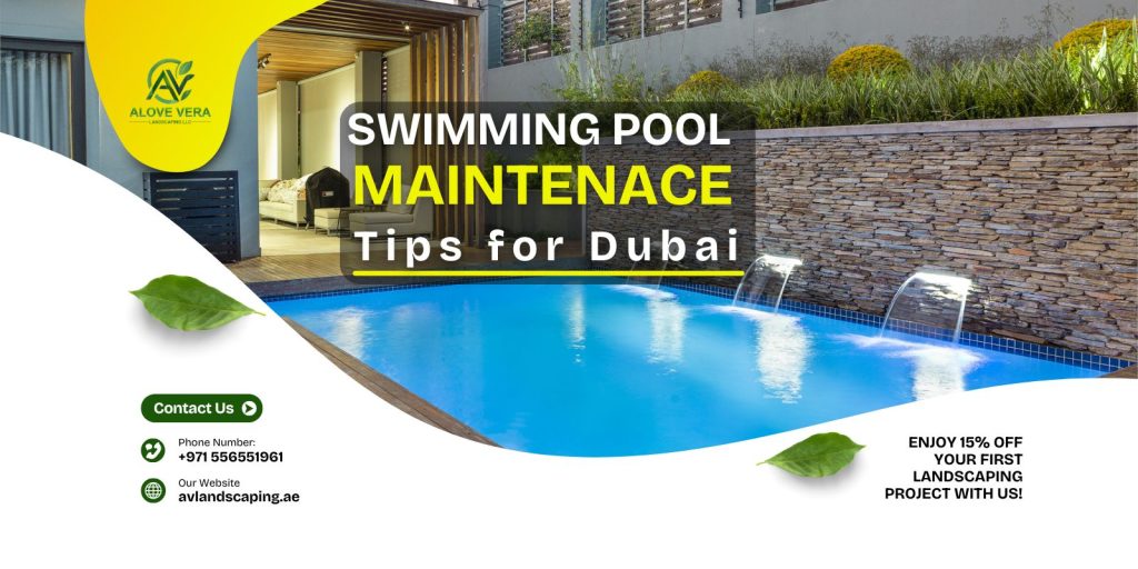 10 Smart Tips For Swimming Pool Maintenance In Dubai | AV Landscaping UAE
