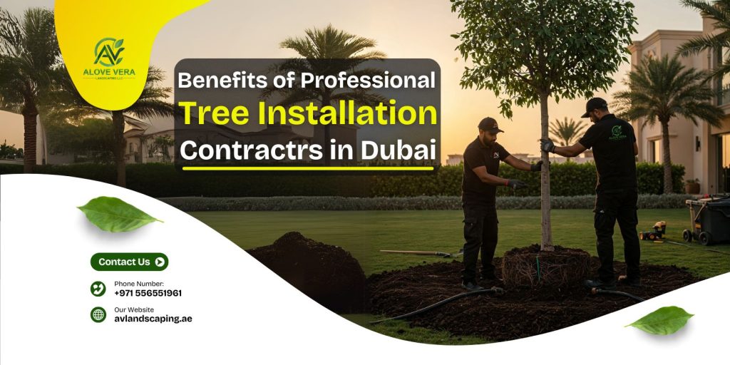Benefits Of Professional Tree Installation Contractors Dubai | AV ...