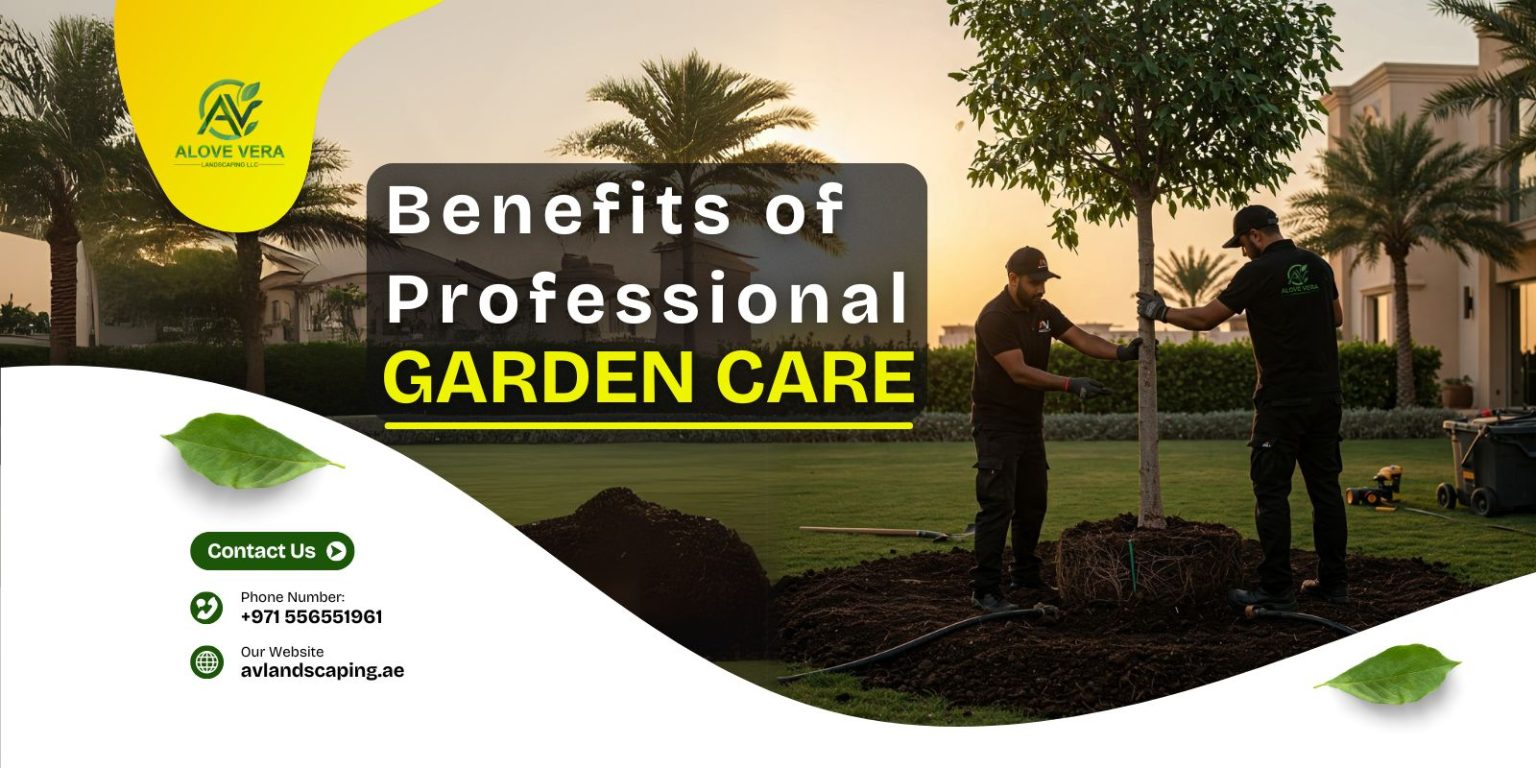The Benefits Of Professional Garden Care For Your Villa In UAE | AV ...