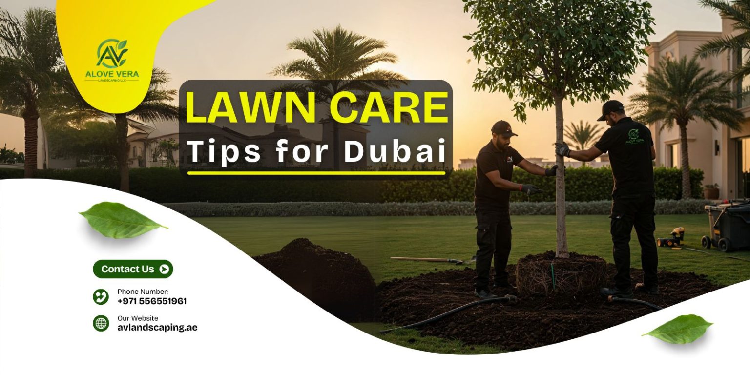 Expert Lawn Care Tips For Dubai | AV Landscaping UAE