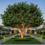 10 Best Front Yard Trees In UAE | AV Landscaping UAE