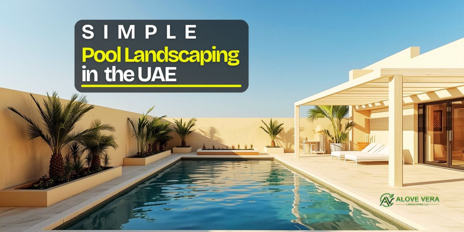 Simple Pool Landscaping In The UAE — Resort Feel, Low Upkeep