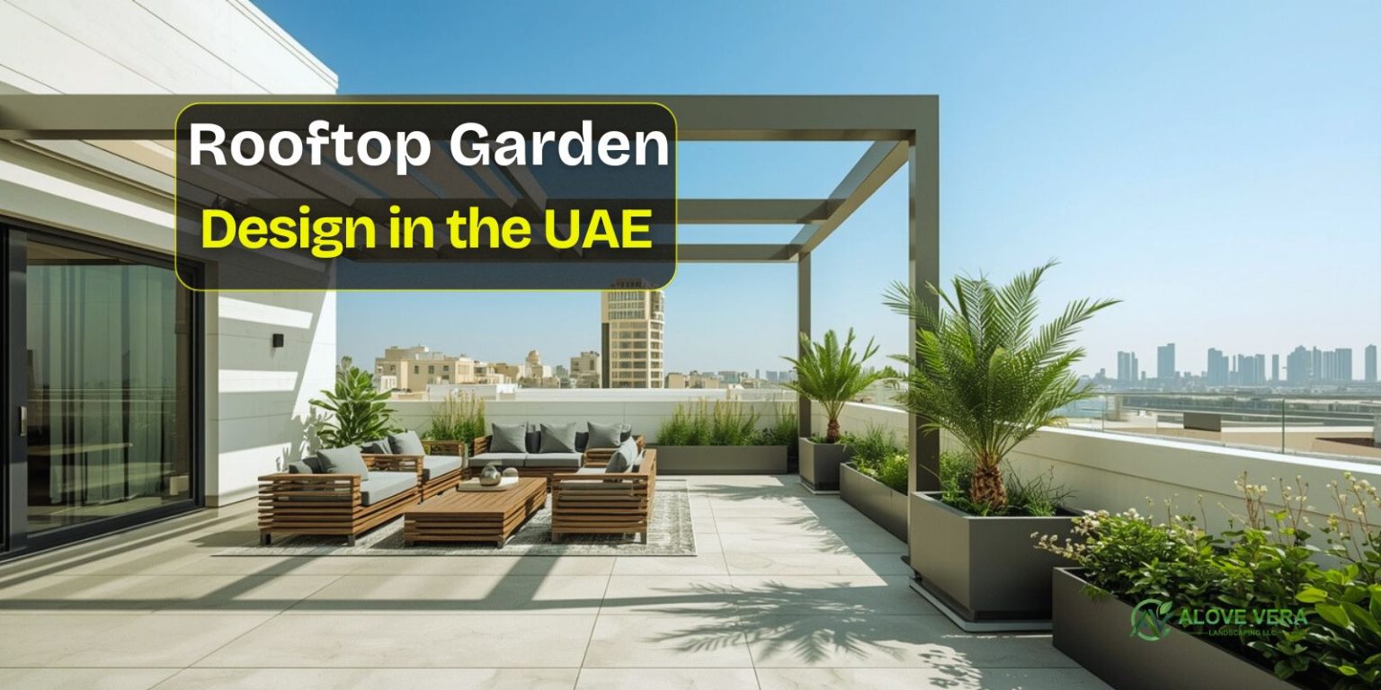 Rooftop Garden Design In The UAE: 7 Powerful Ways To Transform Your Roof